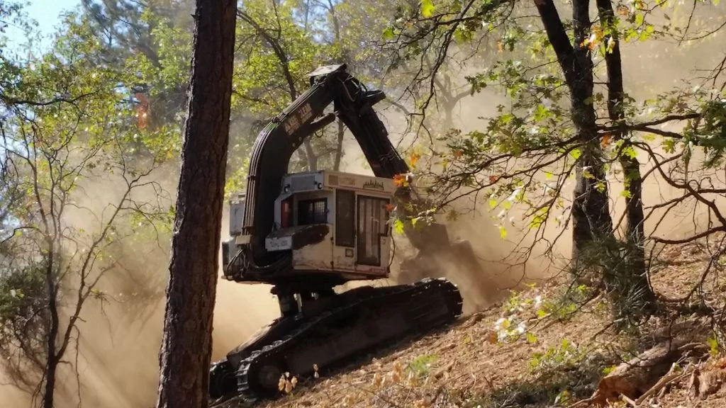 Frequently Asked Questions: Fire Safe Council, Fire Preparedness ...